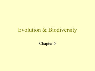 evolution__biodiversity_ppoint.ppt