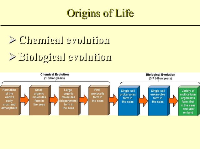 evolution__biodiversity_ppoint.ppt