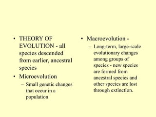 evolution__biodiversity_ppoint.ppt
