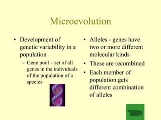 evolution__biodiversity_ppoint.ppt