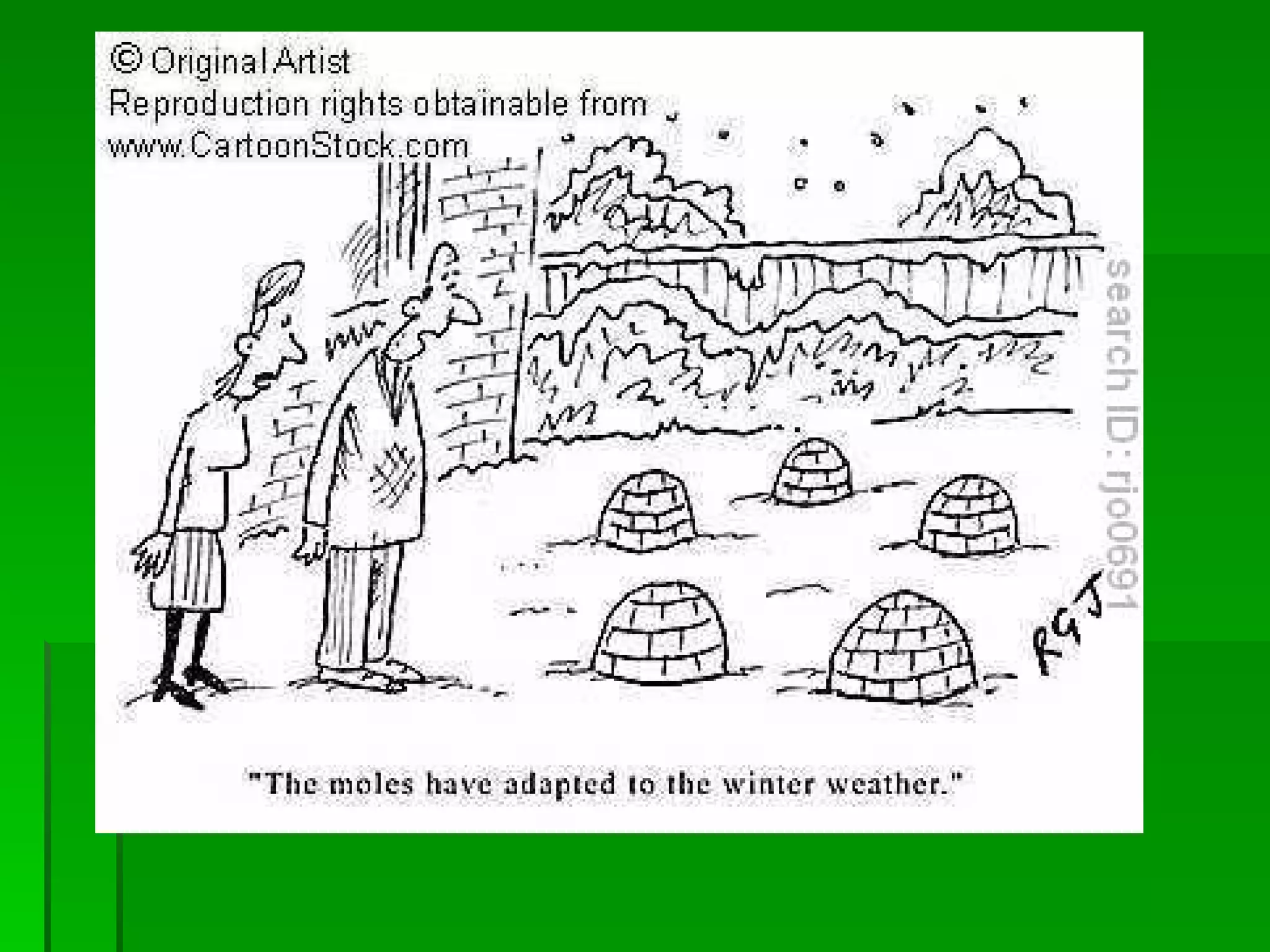 Evolution by natural selection | PPT