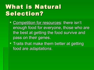Evolution by natural selection | PPT