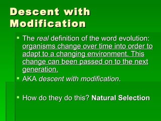 Evolution by natural selection | PPT