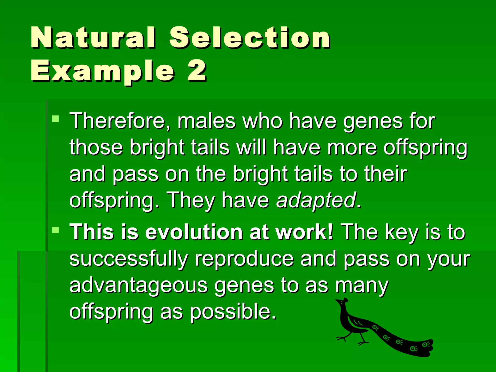 Evolution by natural selection | PPT
