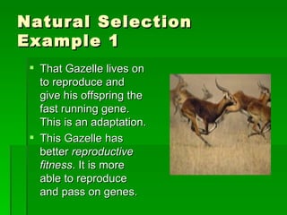 Evolution by natural selection | PPT