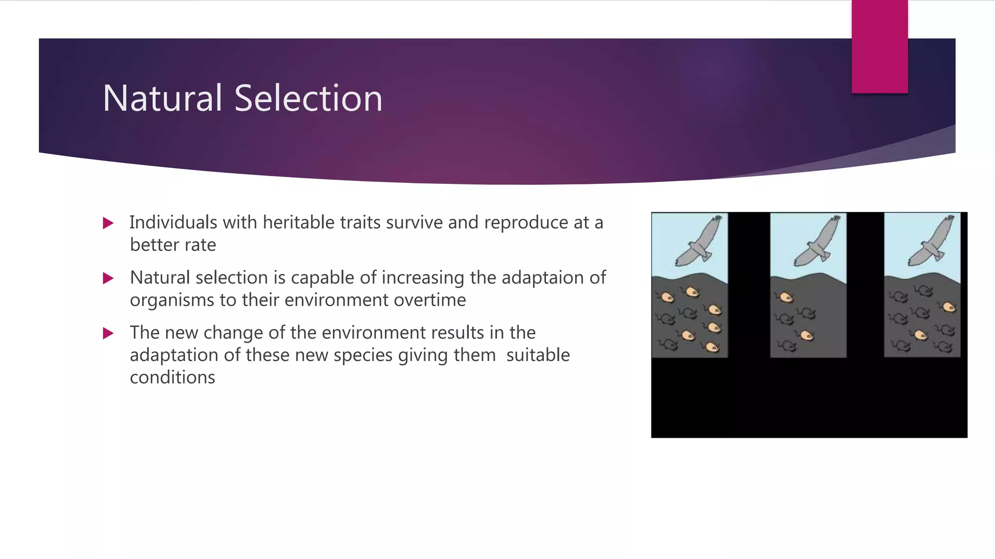 Evolution by natural selection | PPTX | Genetics | Science