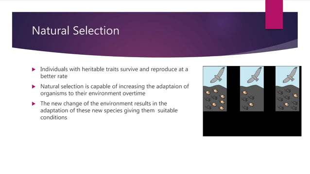 Evolution by natural selection | PPTX | Genetics | Science