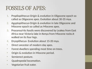 EVOLUTION by Sanchita Verma.pptx