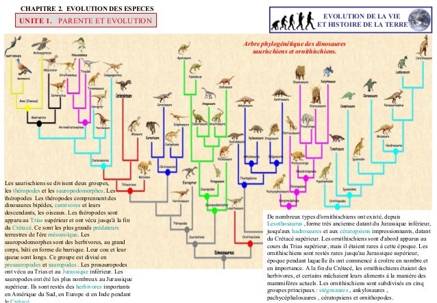 Evolution chapitre 2