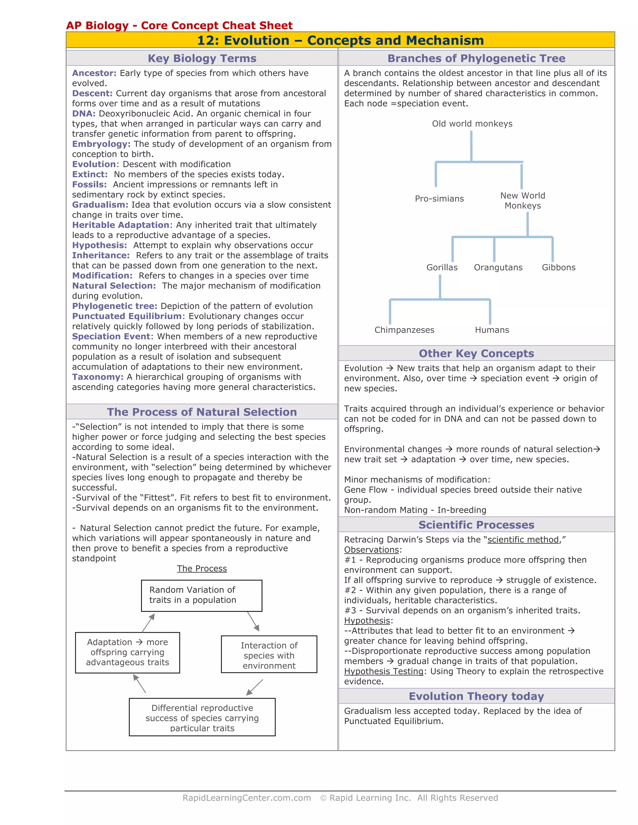 Evolution cheat sheet | PDF