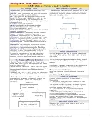 Evolution cheat sheet | PDF