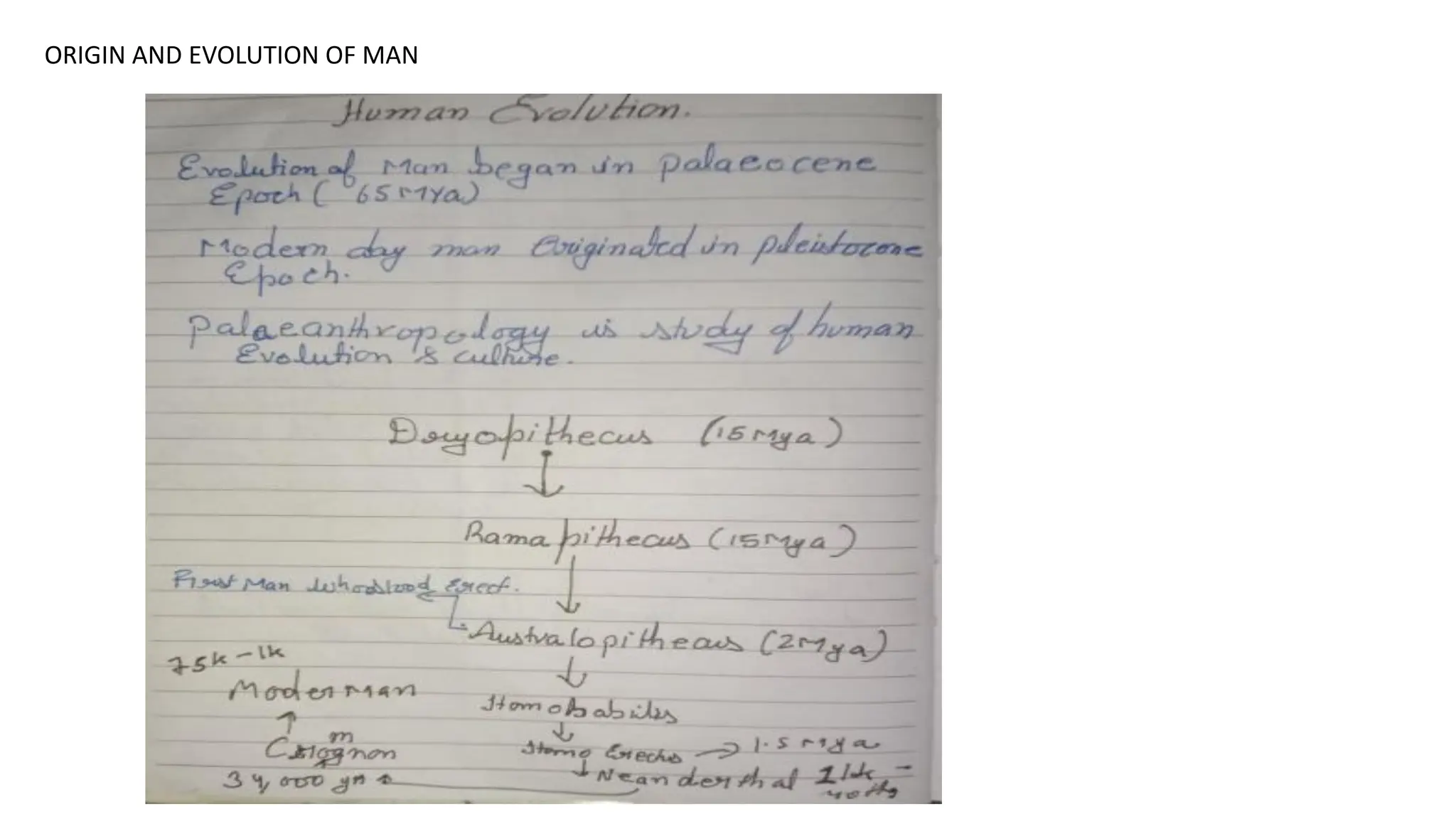 evolution class 12.pdf for class 12 biology | PDF