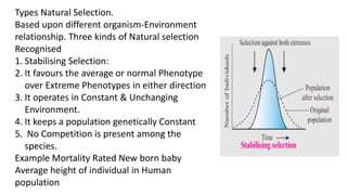 evolution class 12.pdf for class 12 biology | PDF