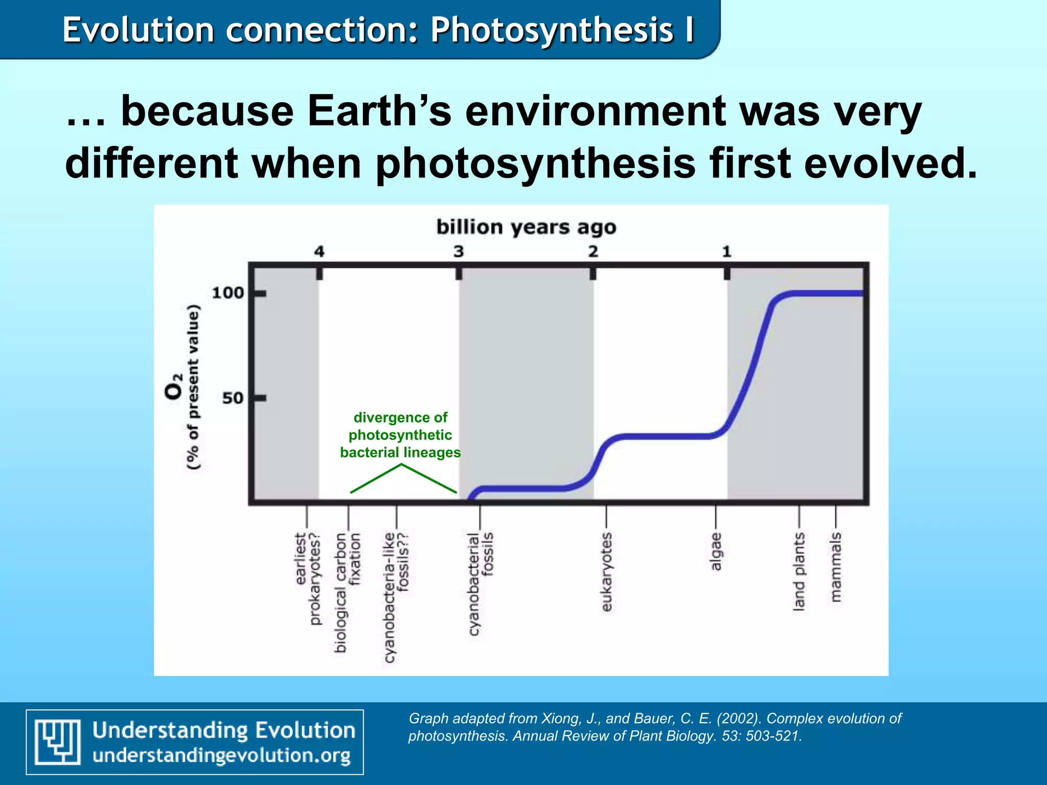 Evolutionconnection photosynthesis | PPT