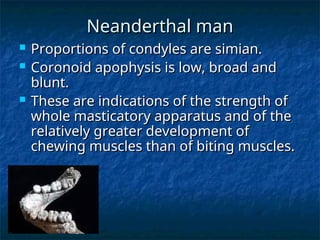 Evolution & development of Mandibles.ppt