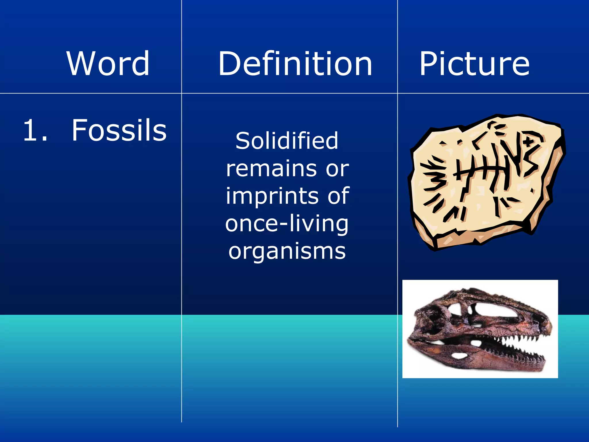 5.03 Evolution evidence | PPT