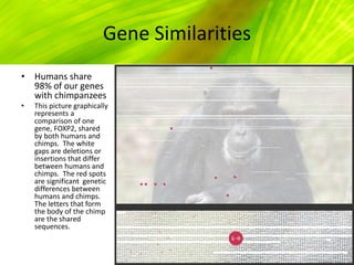 Evolution Evidence and Evolutionary Thinking - The 3 Patterns of ...