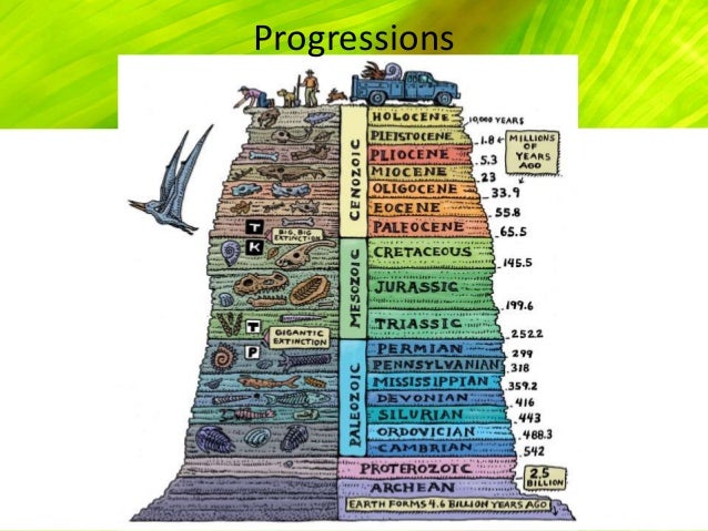Evolution Evidence and Evolutionary Thinking - The 3 Patterns of Evol…