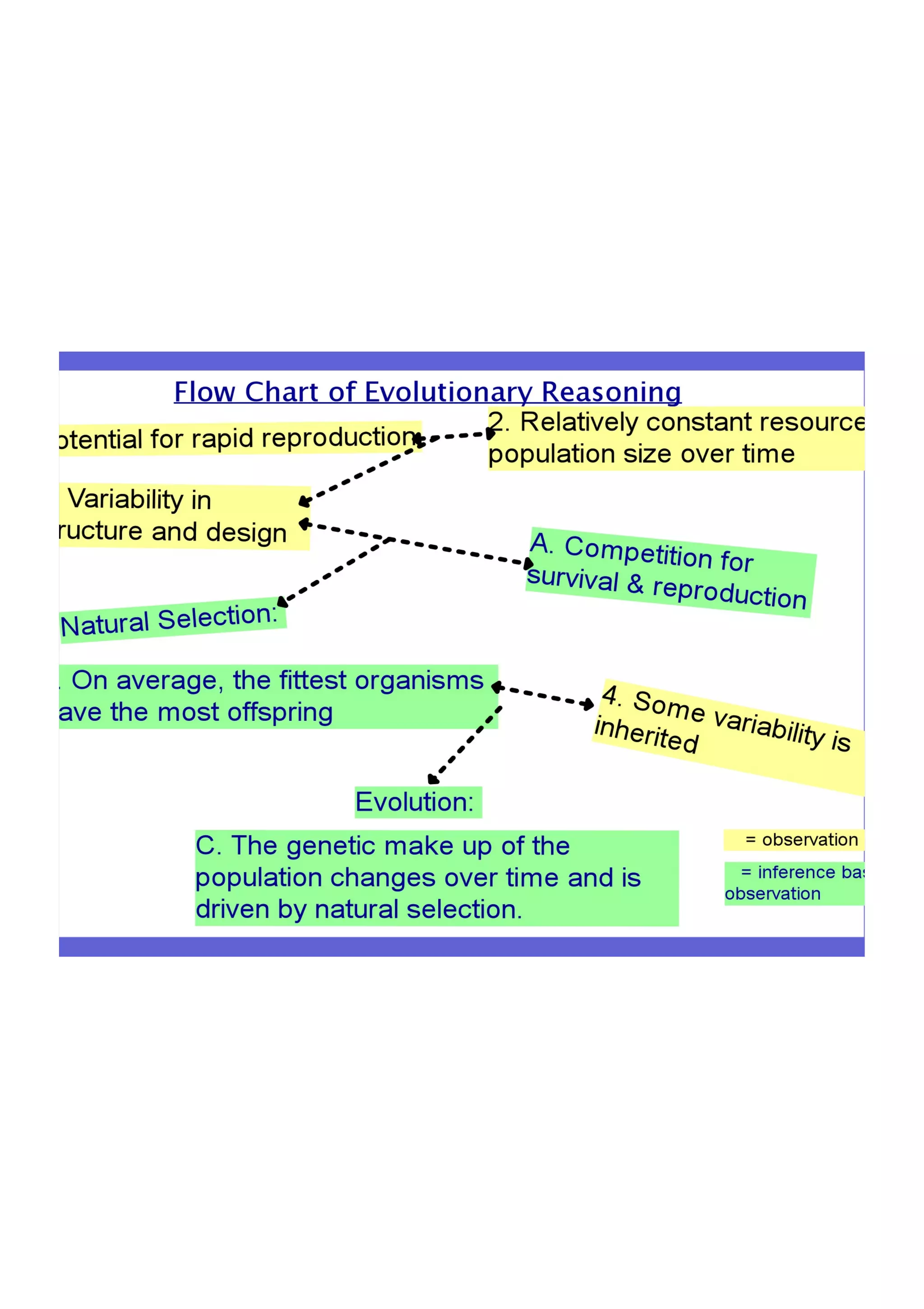 Evolution flowchart | PDF
