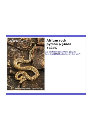 Evolution flowchart | PDF