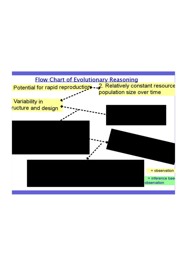 Evolution flowchart | PDF