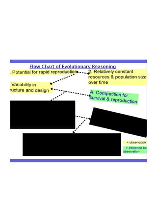 Evolution flowchart | PDF