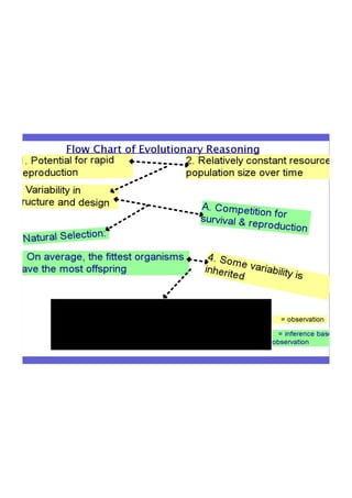 Evolution flowchart | PDF