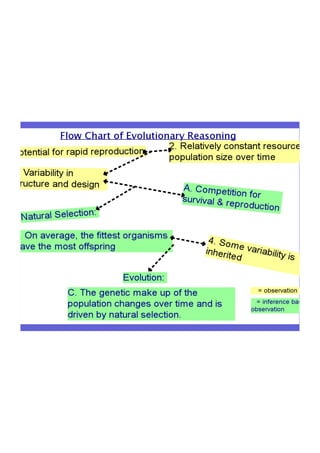 Evolution flowchart | PDF