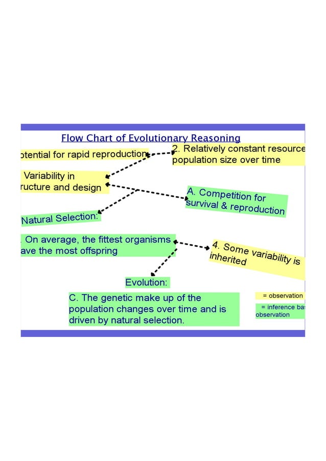 Evolution flowchart | PDF