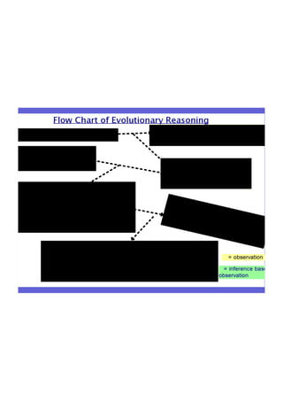 Evolution flowchart | PDF
