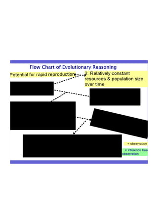 Evolution flowchart | PDF