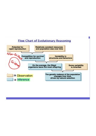 Natural Selection Flow Chart