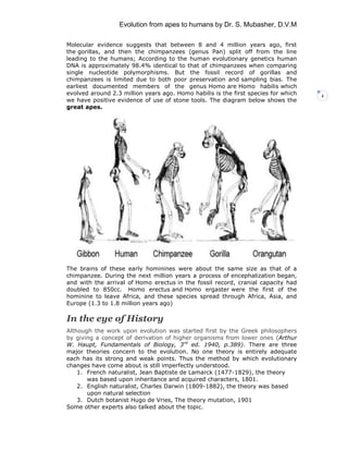 Evolution from apes to humans, s. mubasher | DOCX