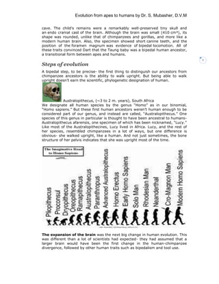 Evolution from apes to humans, s. mubasher | DOCX