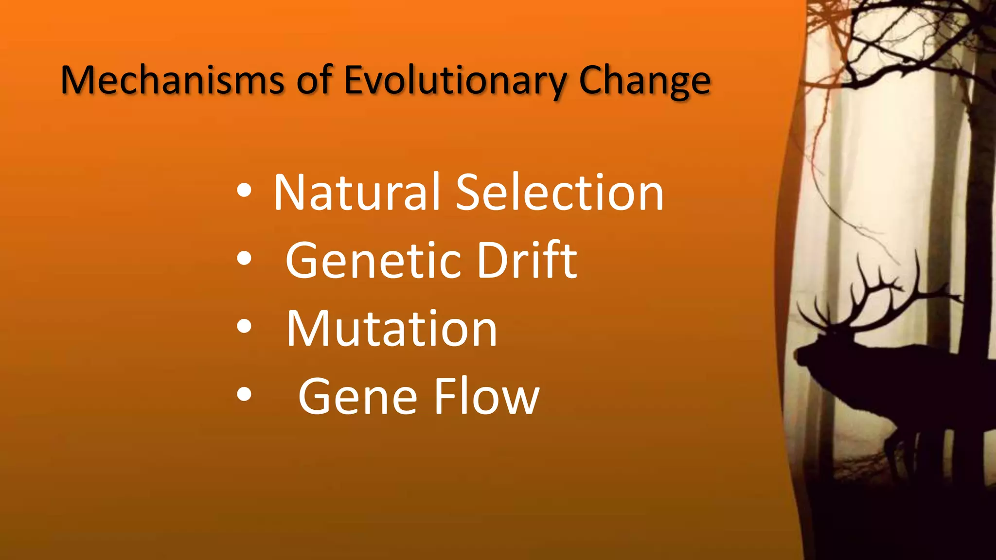 EVOLUTION AND MECHANISM OF EVOLUTION | PPTX