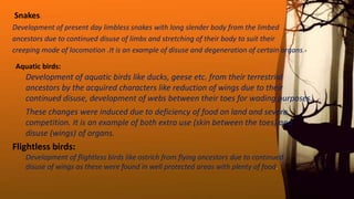 EVOLUTION AND MECHANISM OF EVOLUTION | PPTX