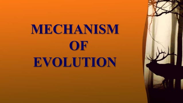 EVOLUTION AND MECHANISM OF EVOLUTION | PPTX | Reproductive Health ...