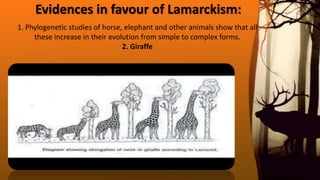 EVOLUTION AND MECHANISM OF EVOLUTION | PPTX
