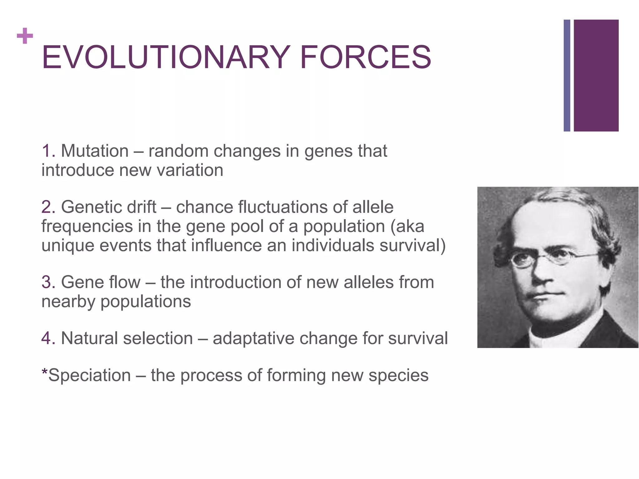 Evolution & Genetics 101 | PPT