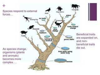 Evolution & Genetics 101 | PPT