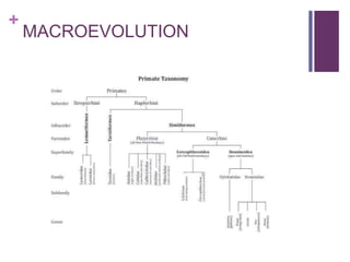 Evolution & Genetics 101 | PPT