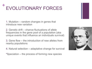 Evolution & Genetics 101 | PPT