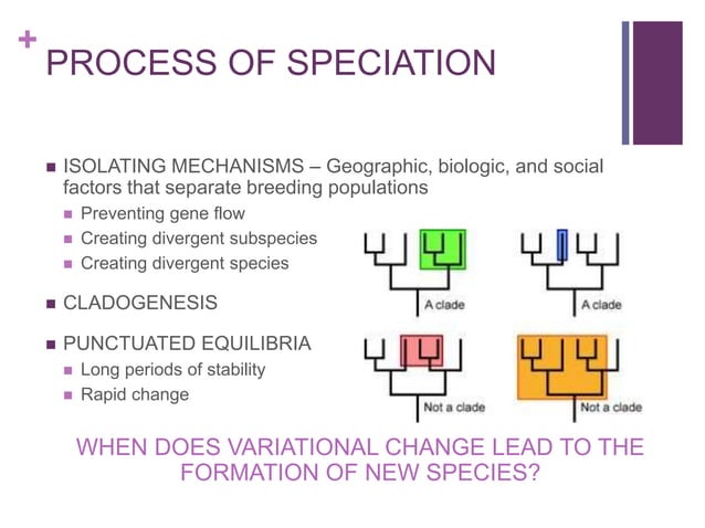 Evolution & Genetics 101 | PPT