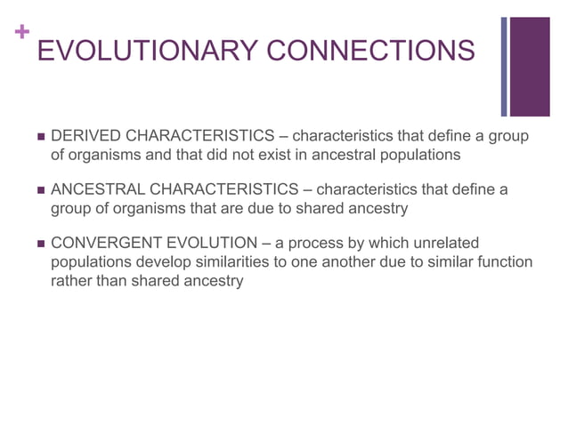 Evolution & Genetics 101 | PPT