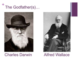 Evolution & Genetics 101 | PPT