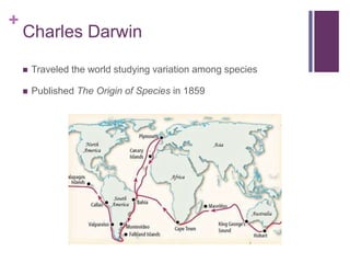 Evolution & Genetics 101 | PPT