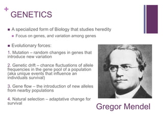Evolution & Genetics 101 | PPT