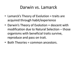 Evolution in a nutshell | PPT