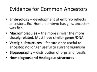 Evolution in a nutshell | PPT