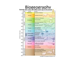 Evolution in a nutshell | PPT